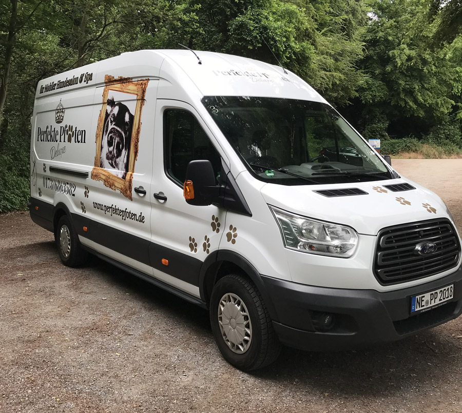 Van Graphics
